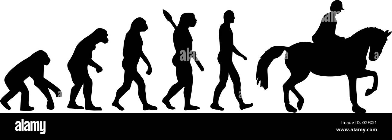 Evolution of the horse Banque de photographies et d’images à haute ...