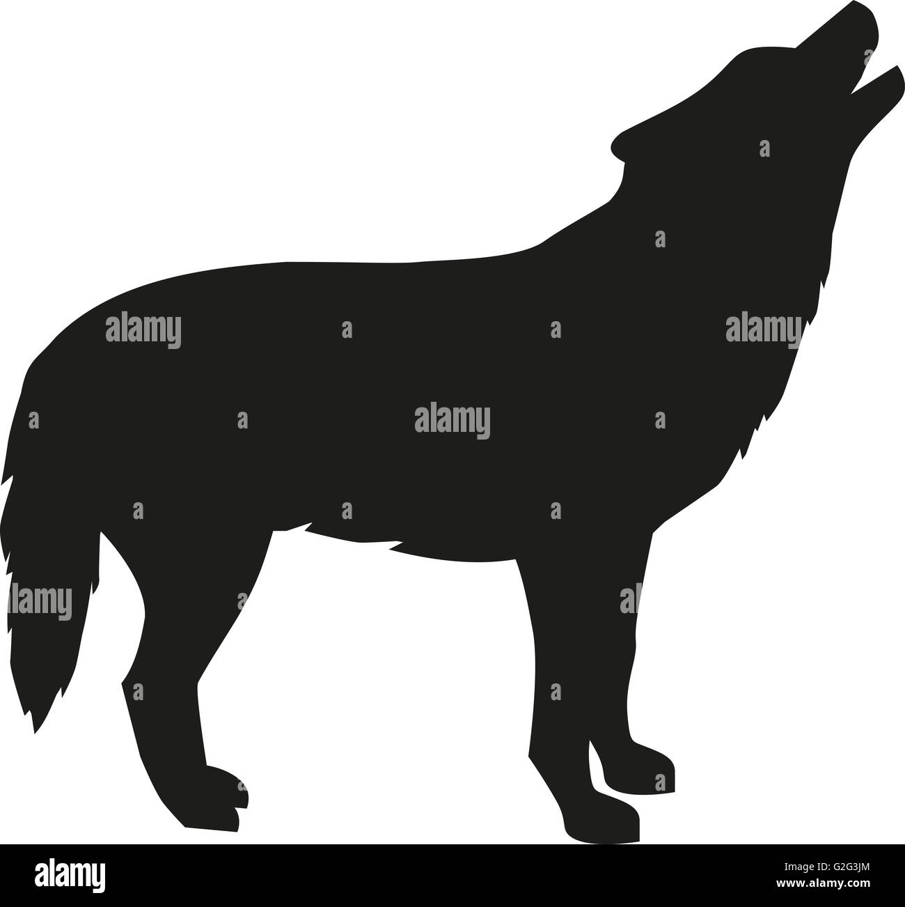 Loup hurlant Banque de photographies et d’images à haute résolution - Alamy