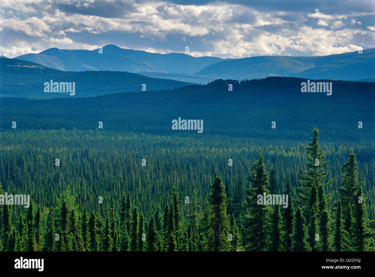 Chef sikanni Banque de photographies et d’images à haute résolution - Alamy
