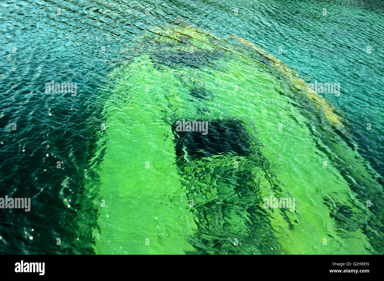 Épave engloutie dans le tub. La baie Georgienne. Le lac Huron. Le parc ...