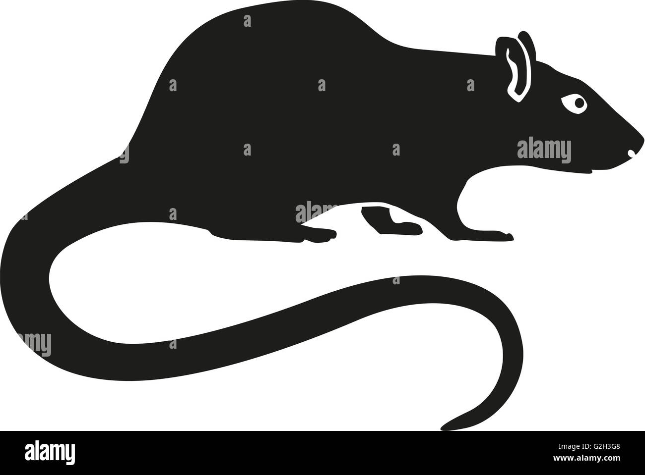 Rat et souris Banque de photographies et d’images à haute résolution ...