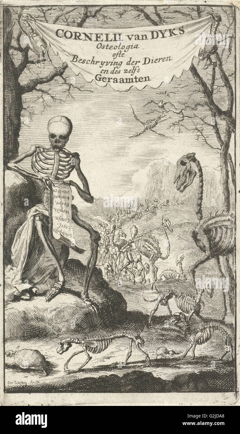 Animaux squelette animal Banque de photographies et d’images à haute ...