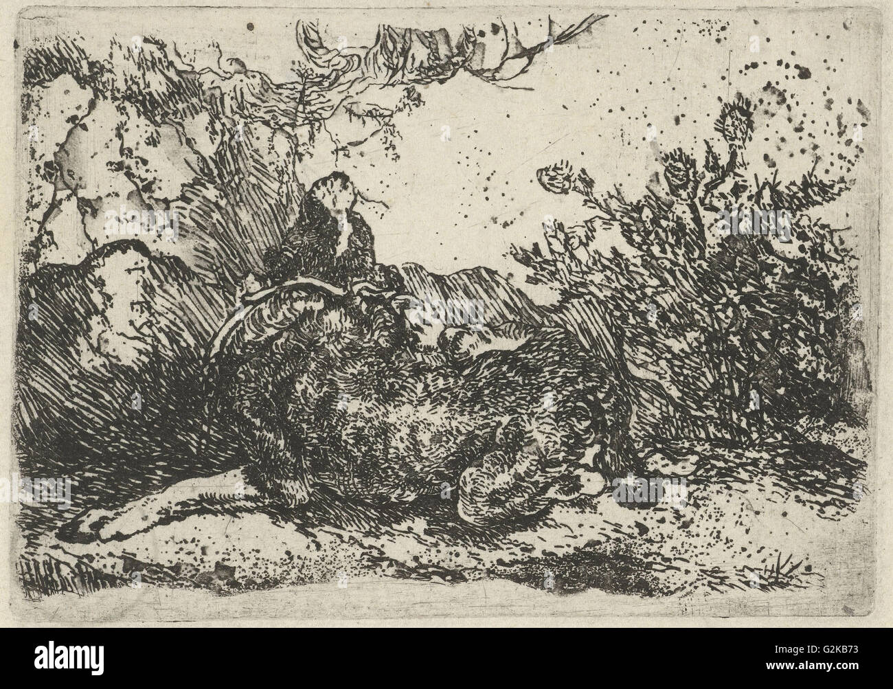 Jan fijt Banque de photographies et d’images à haute résolution - Alamy