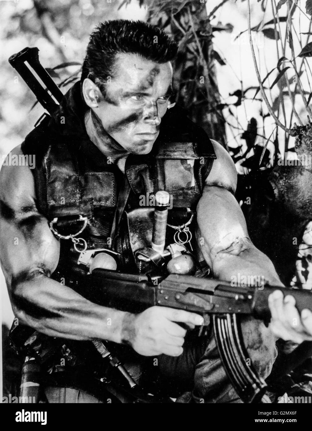 Arnold schwarzenegger en commando Banque de photographies et d’images à ...