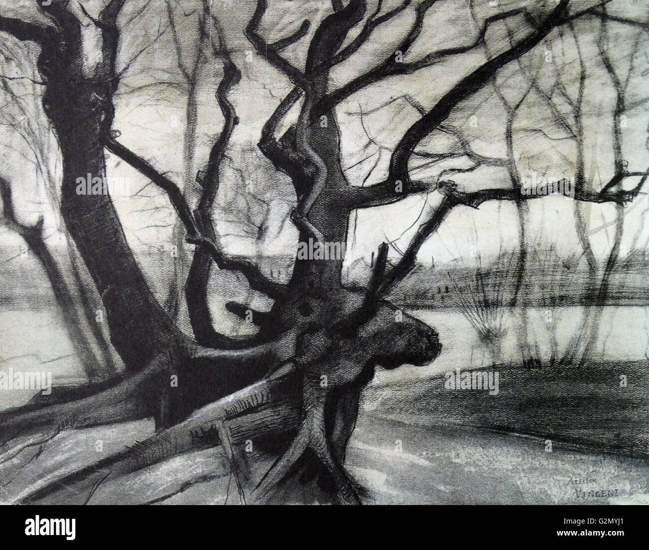 Les racines des arbres vincent van gogh Banque de photographies et d ...