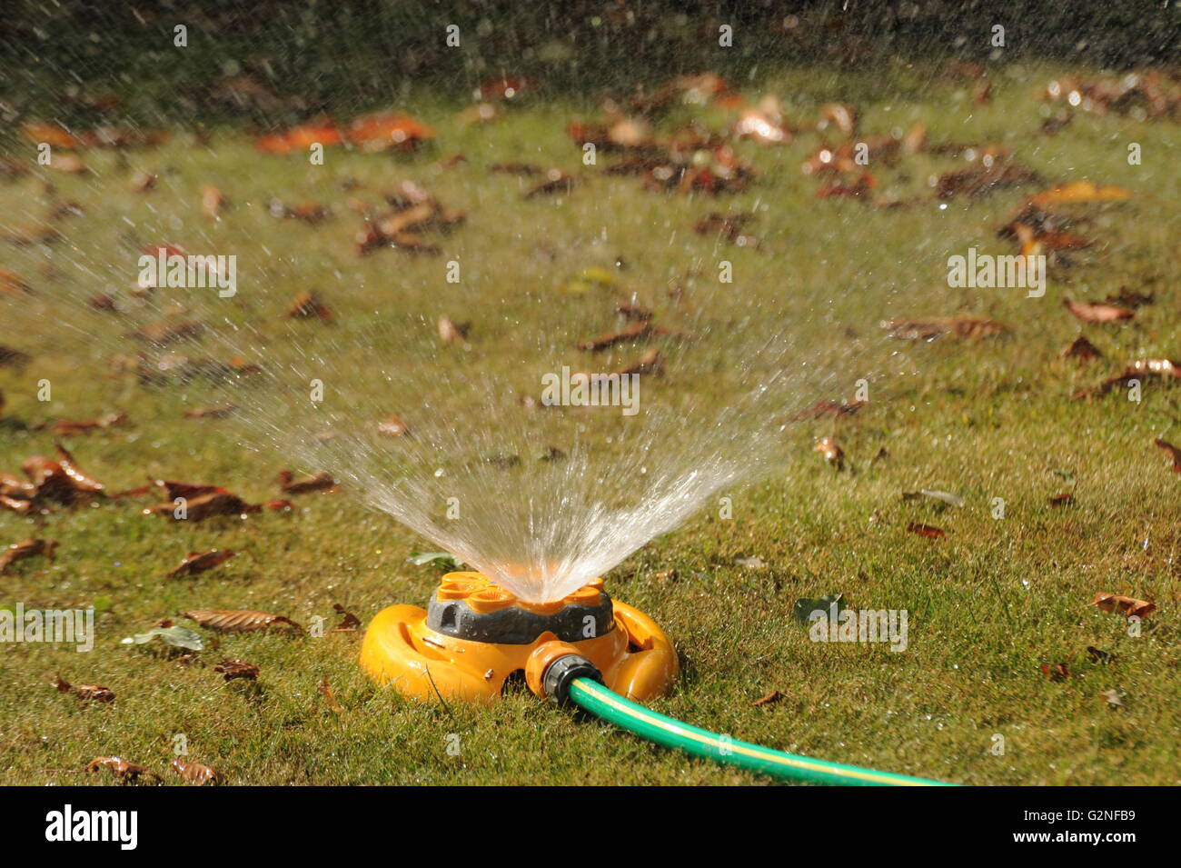 Aspersion irrigation Banque de photographies et d’images à haute ...
