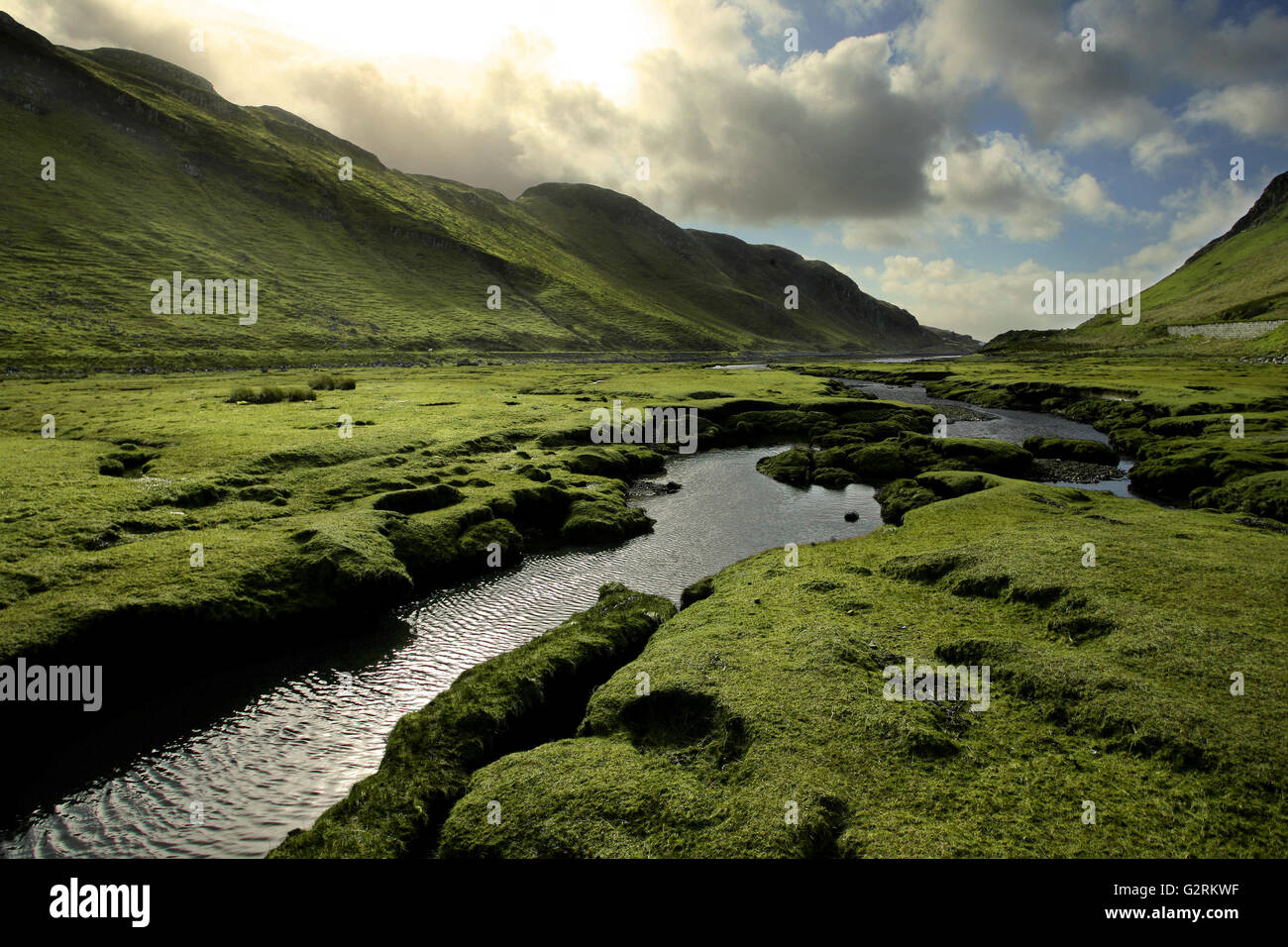 Ciel volatile et infectieuses verts sont typiques des Highlands ...