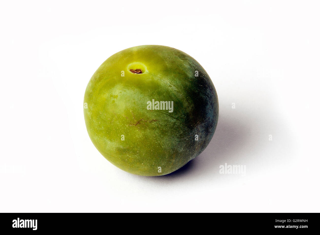 Reine claude Banque d'images détourées - Alamy