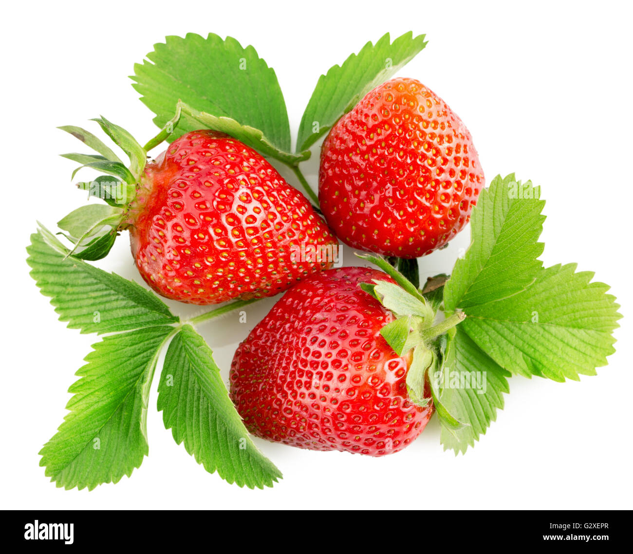 Fraise fond blanc Banque de photographies et d’images à haute résolution - Alamy