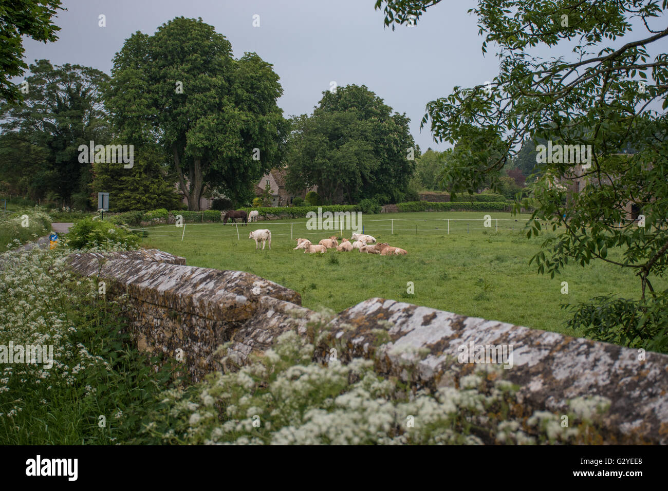 Asthall oxfordshire Banque de photographies et d’images à haute ...