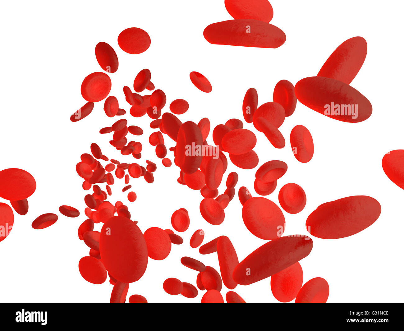 Les érythrocytes globules rouges dans l'intérieur des artères ou des ...