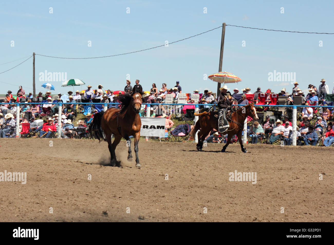 Rodeo cowboy Banque de photographies et d’images à haute résolution - Alamy