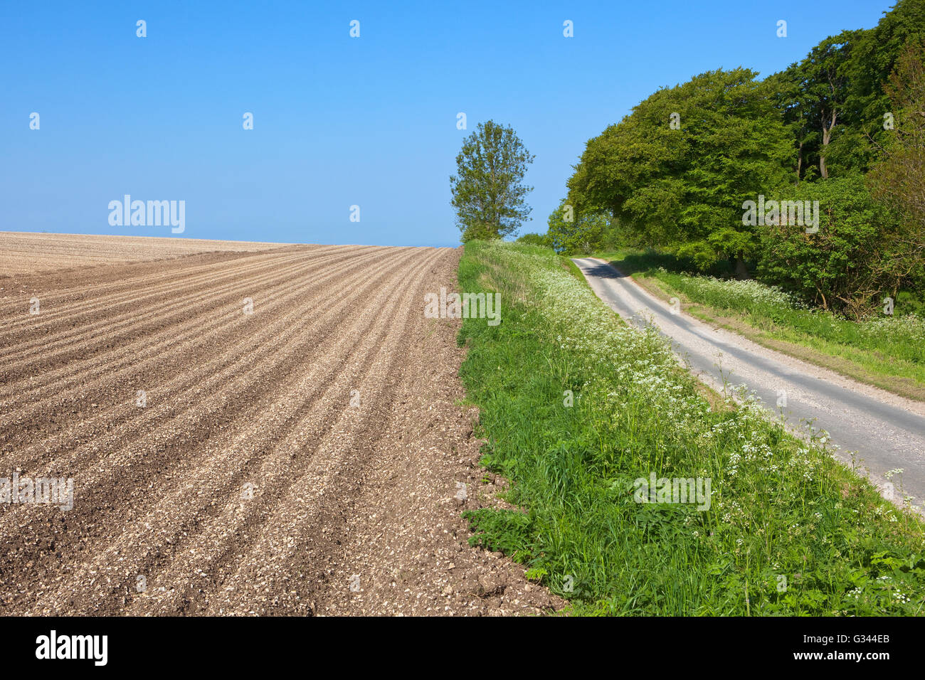 Sillons pomme de terre route Banque de photographies et d’images à ...