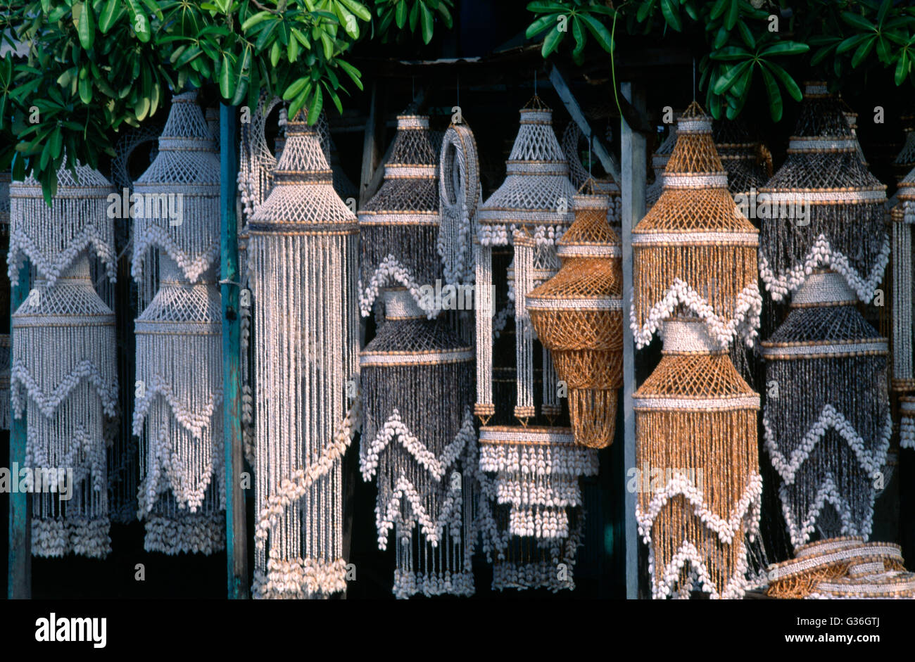 Coquille philippines Banque de photographies et d’images à haute ...