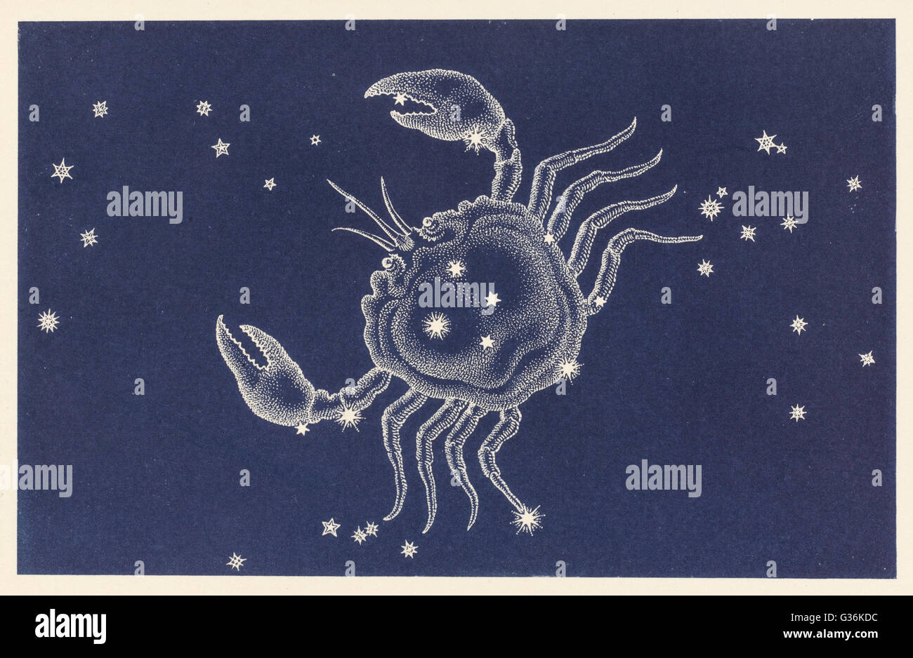 Cancer zodiac sign constellation Banque de photographies et d’images à ...