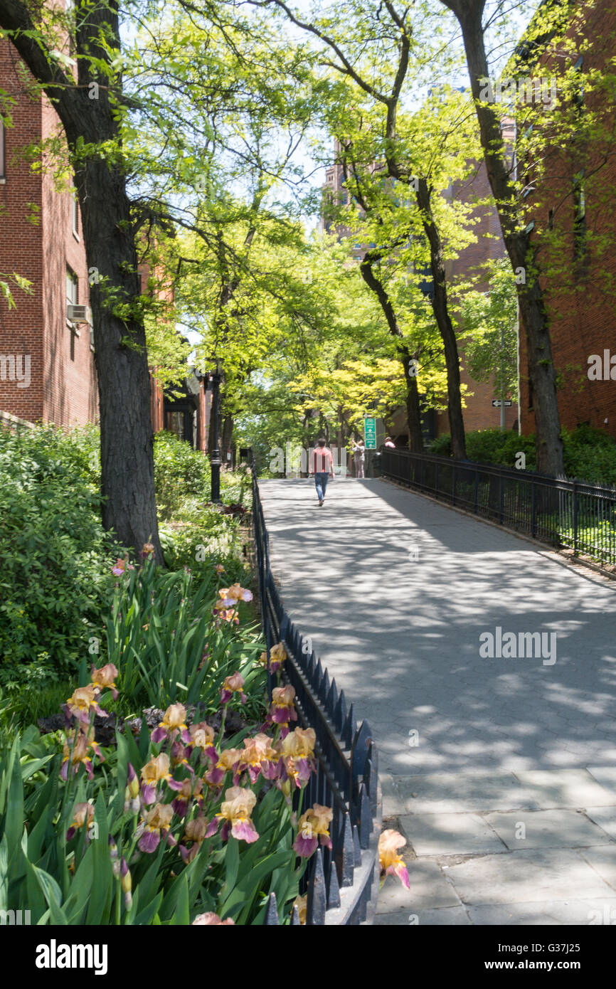 Brooklyn heights promenade Banque de photographies et d’images à haute ...