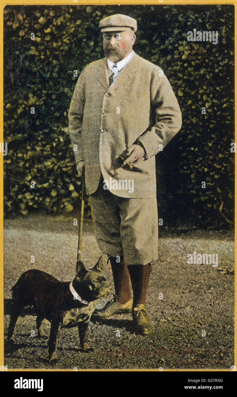 King edward vii dog Banque de photographies et d’images à haute ...
