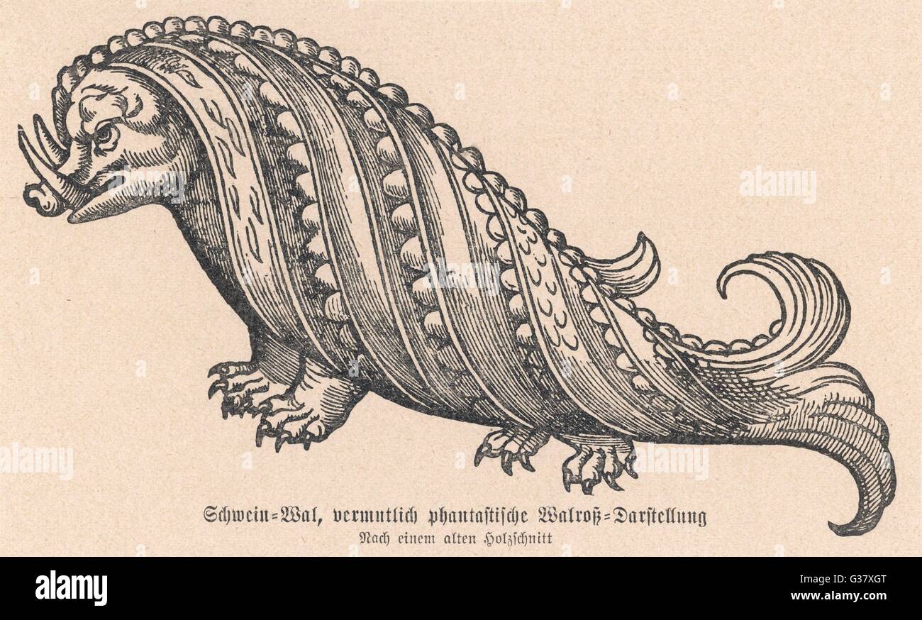 Un serpent de mer Banque de photographies et d’images à haute ...