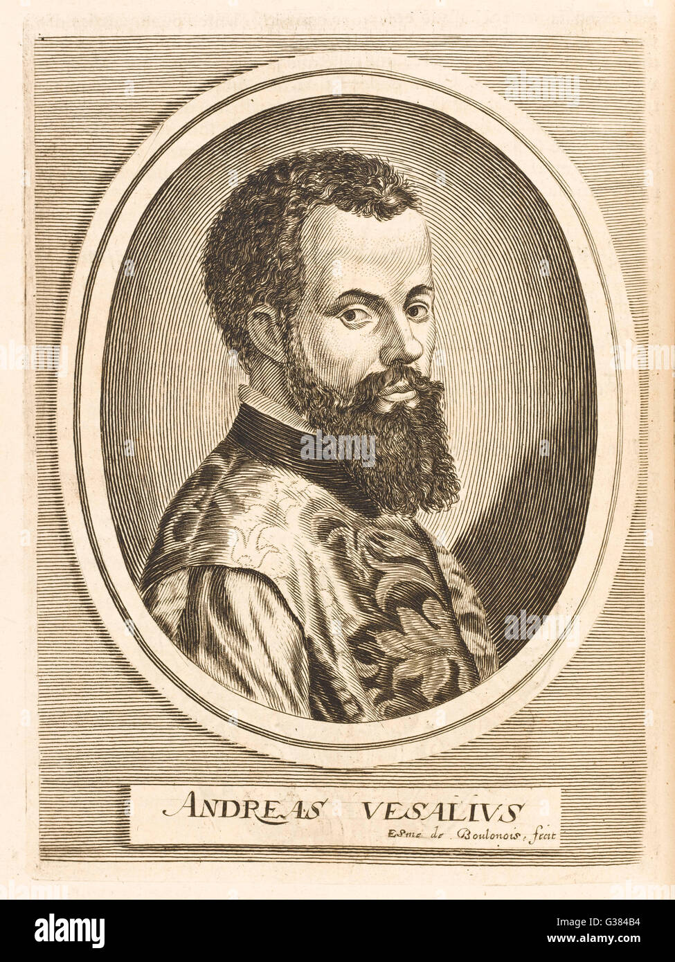 ANDREAS VESALIUS anatomiste flamand Date : 1514 - 1564 Photo Stock - Alamy