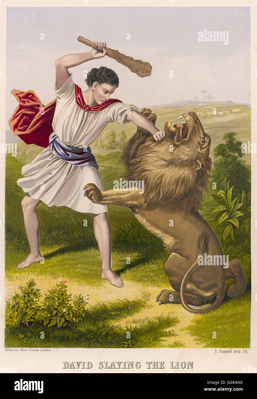 David and the lion Banque de photographies et d’images à haute ...