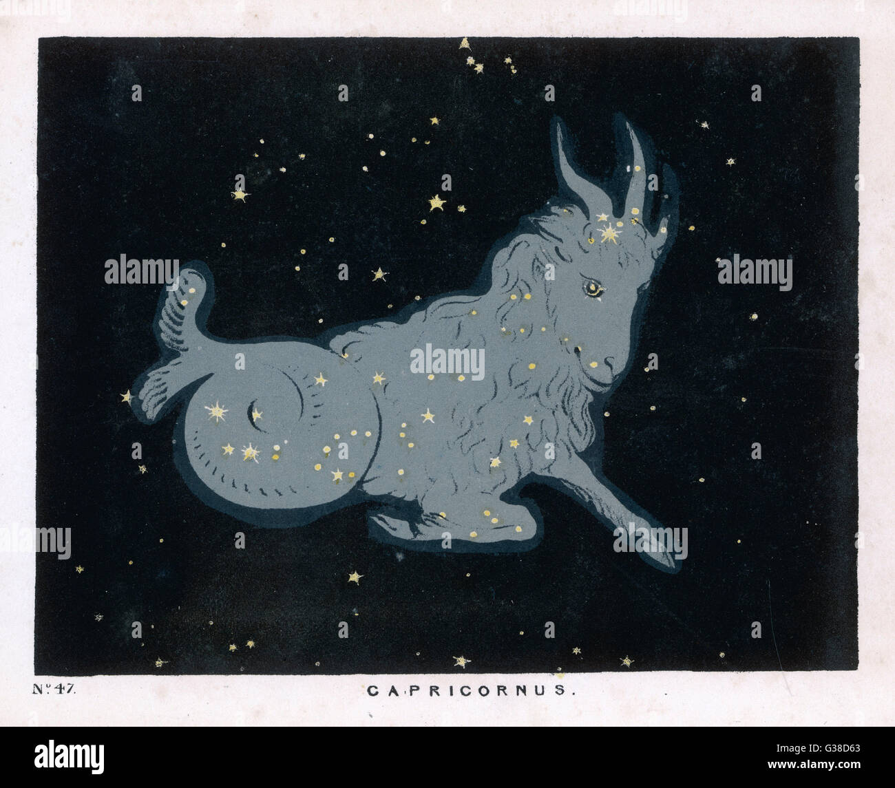 La constellation du capricorne Banque de photographies et d’images à ...