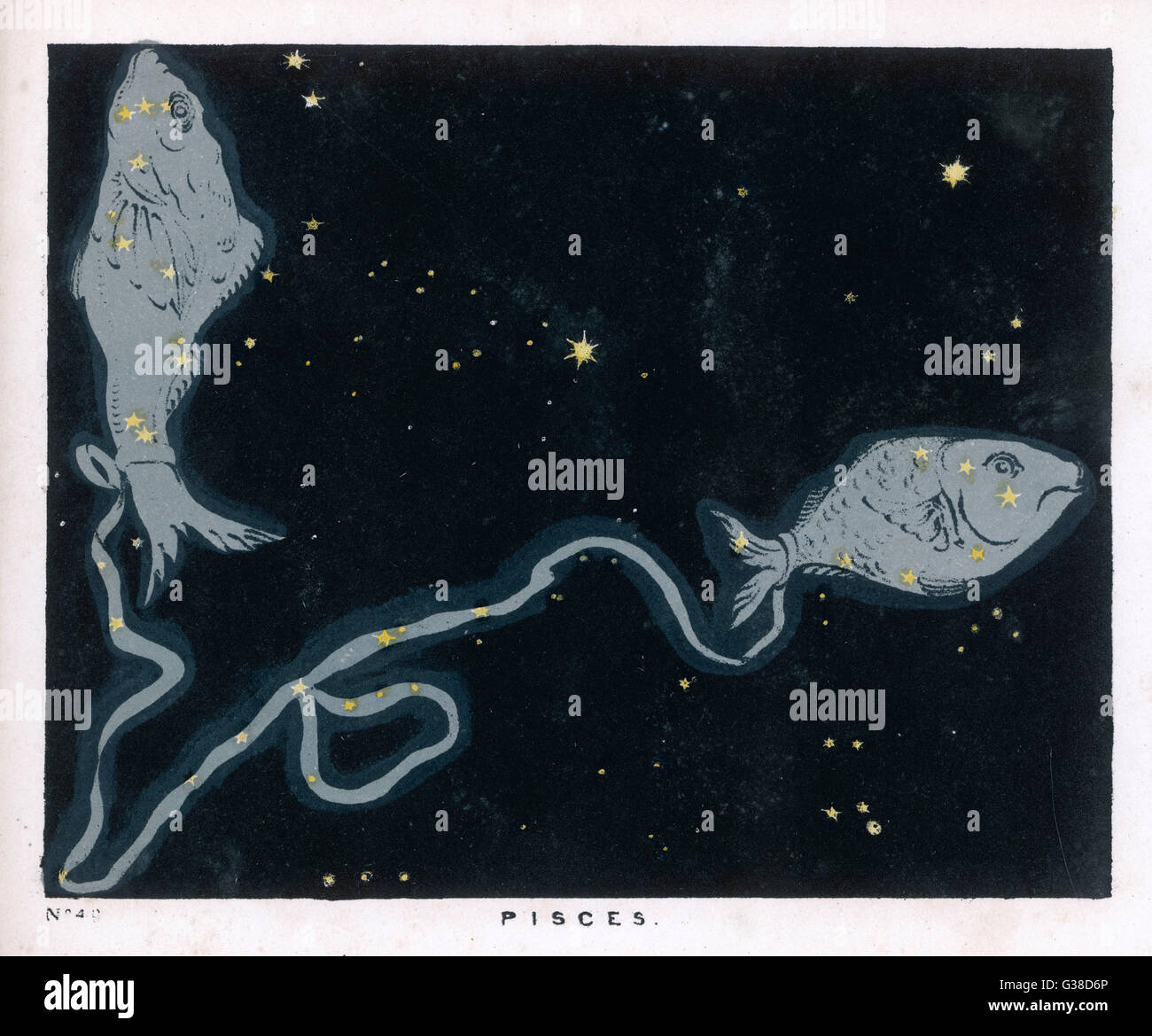 Les poissons de la constellation Banque de photographies et d’images à ...