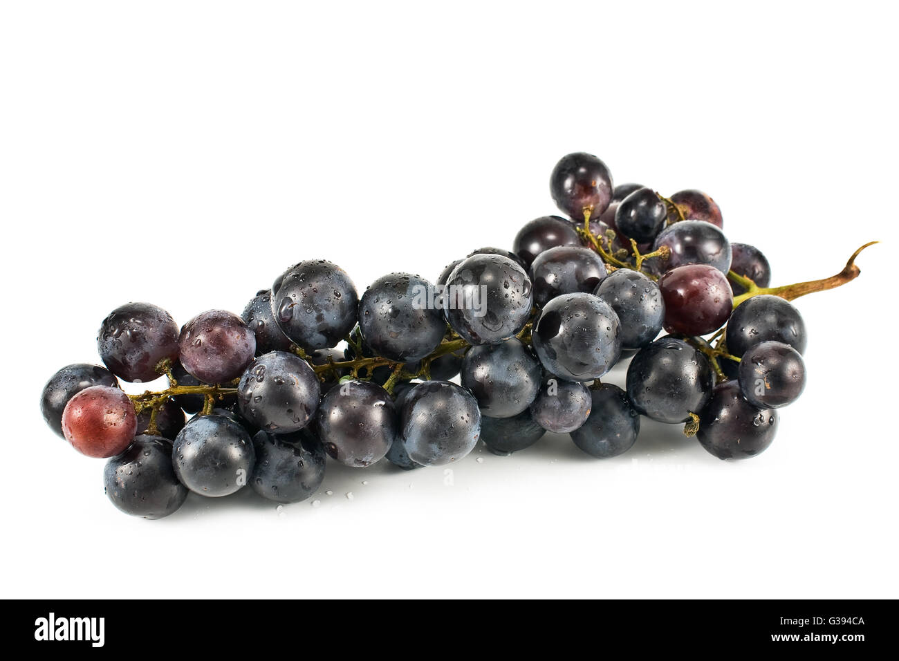 Plante grimpante bleue Banque d'images détourées - Alamy