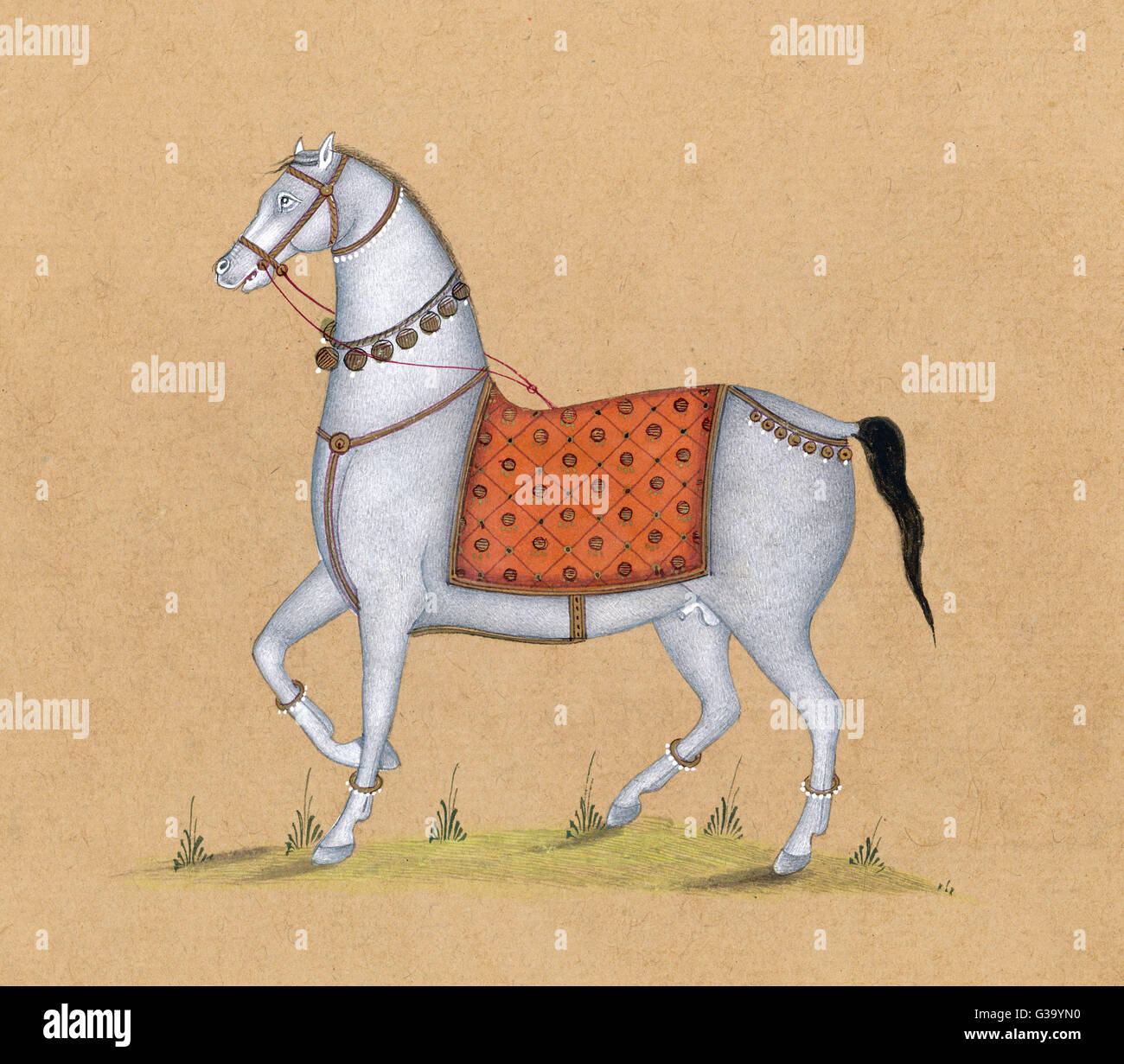 Indian horses painting Banque de photographies et d’images à haute ...