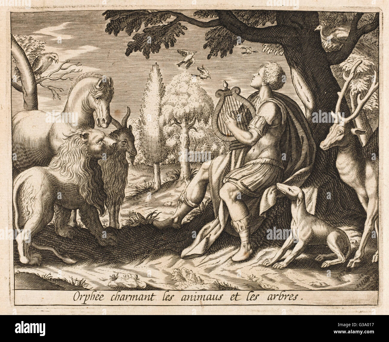 The bestiary or cortege of orpheus Banque de photographies et d’images ...