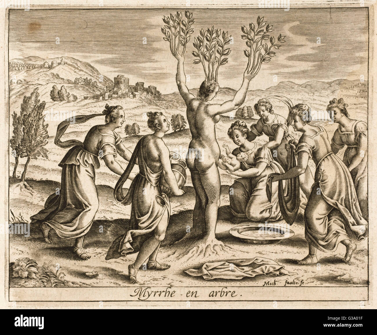 Myrrh tree Banque de photographies et d’images à haute résolution - Alamy