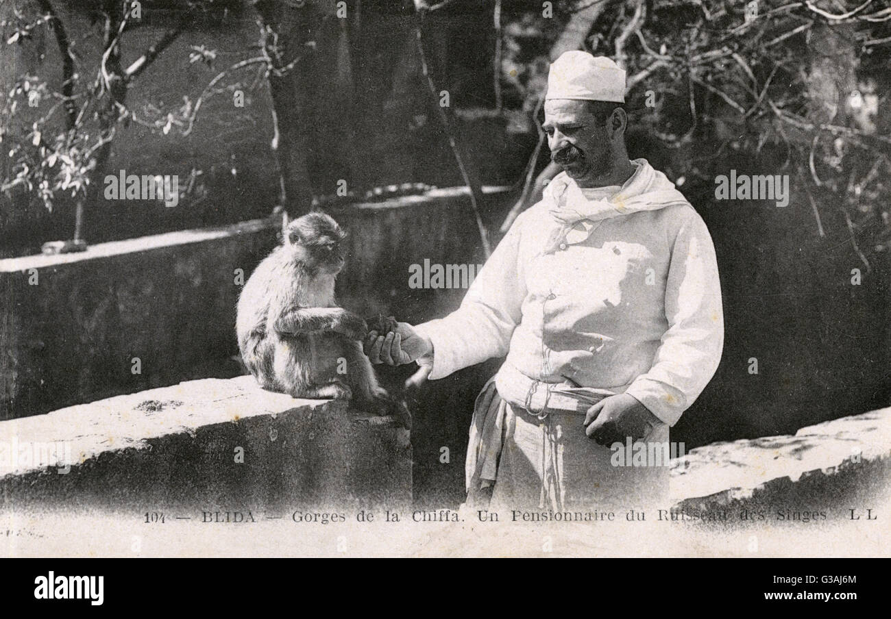 Blida algerie Banque de photographies et d’images à haute résolution ...