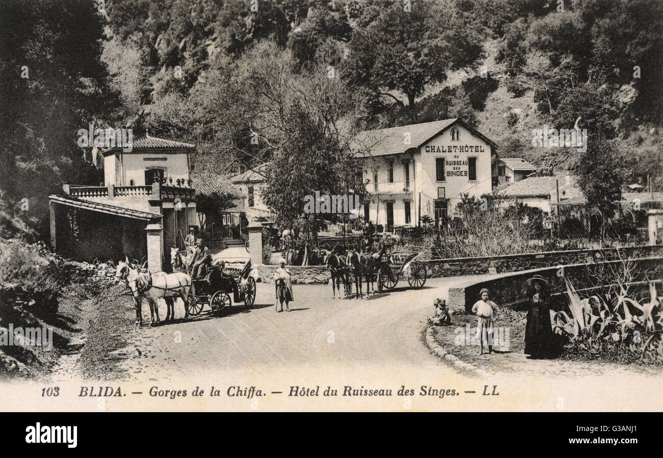 Blida algerie Banque de photographies et d’images à haute résolution ...