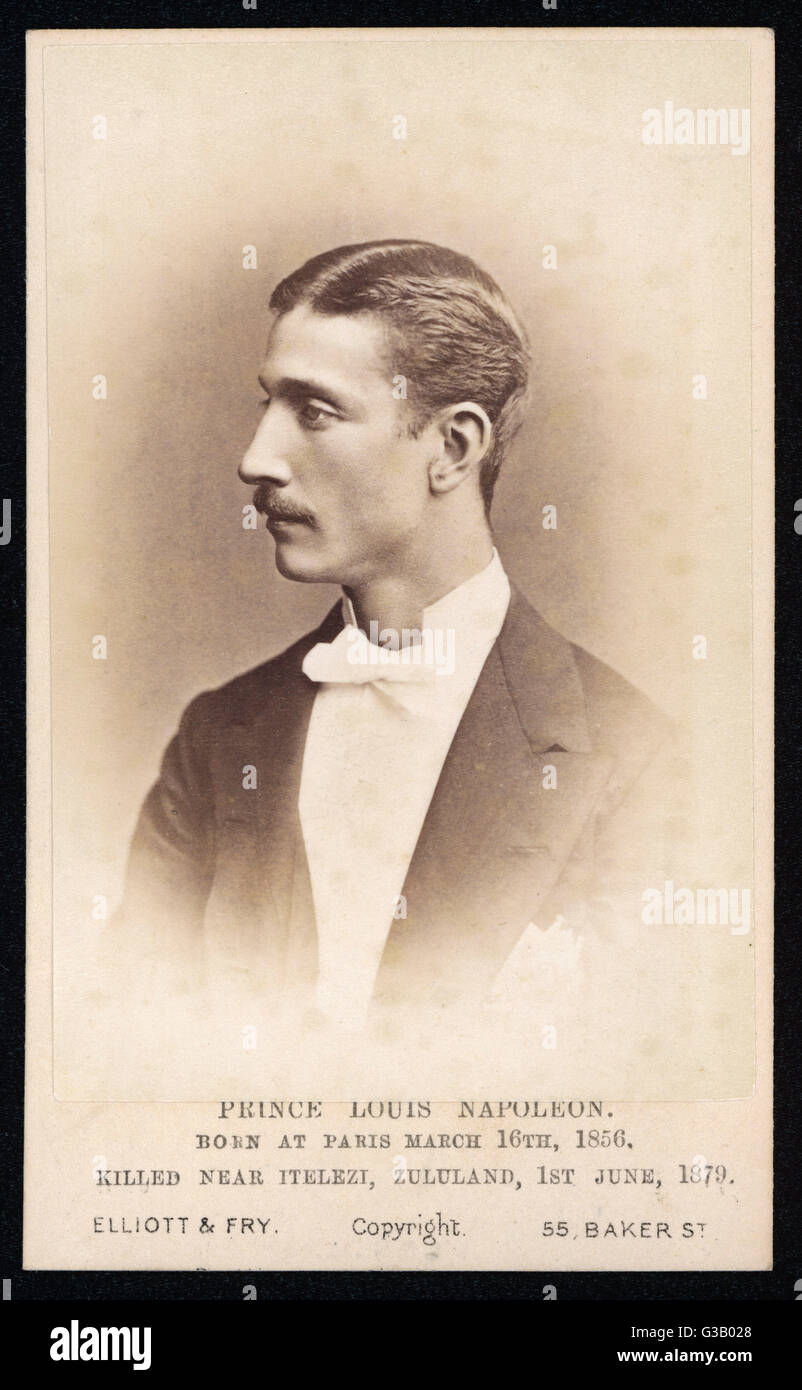 The prince imperial prince louis napoleon 1856 1879 Banque de ...