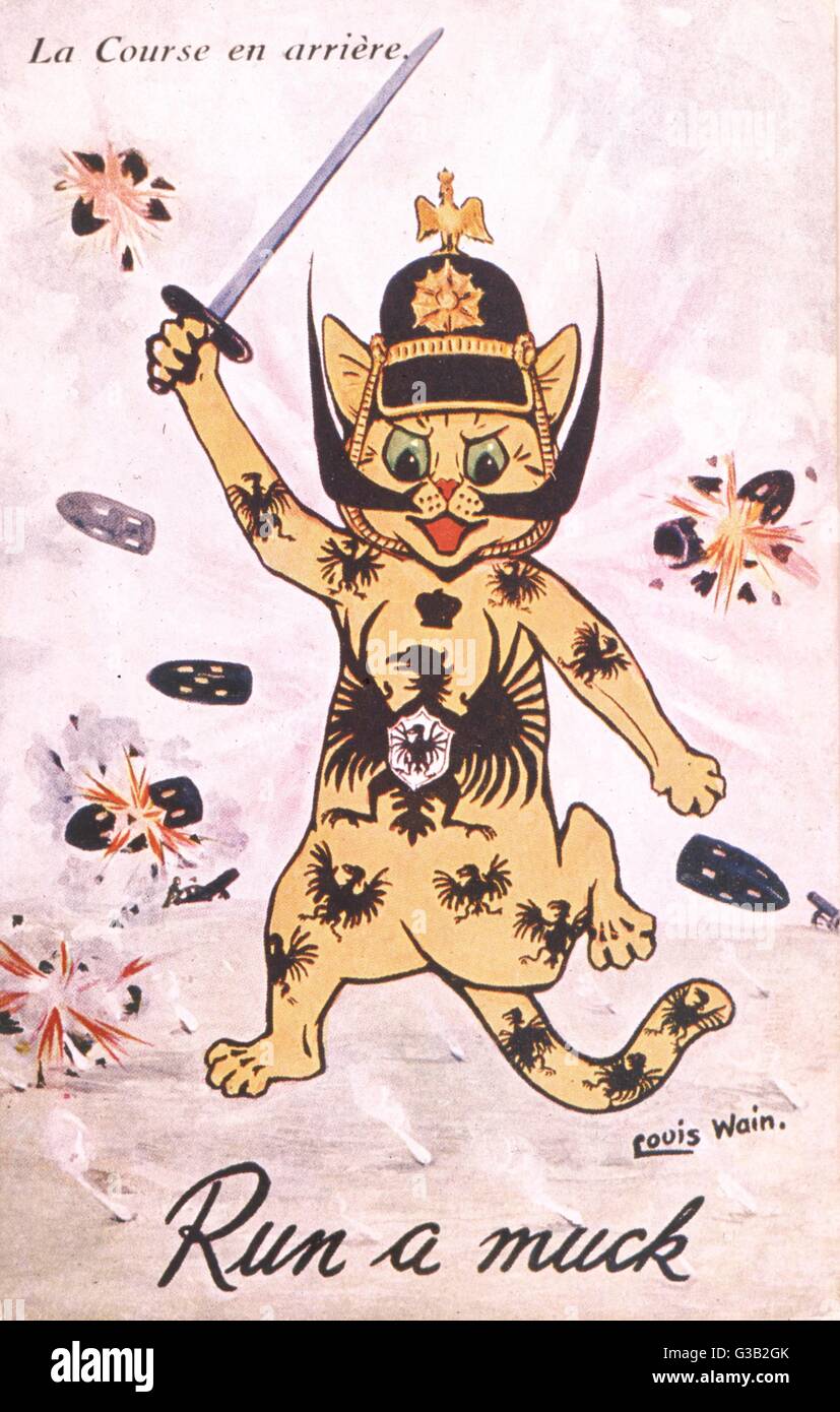 Guerre des chats sauvages Banque de photographies et d’images à haute ...