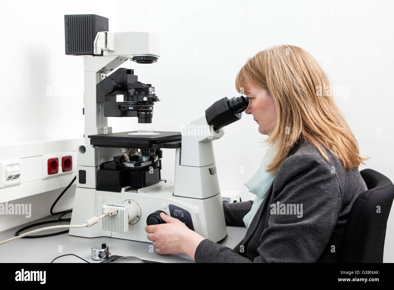 Inverted microscope Banque de photographies et d’images à haute ...