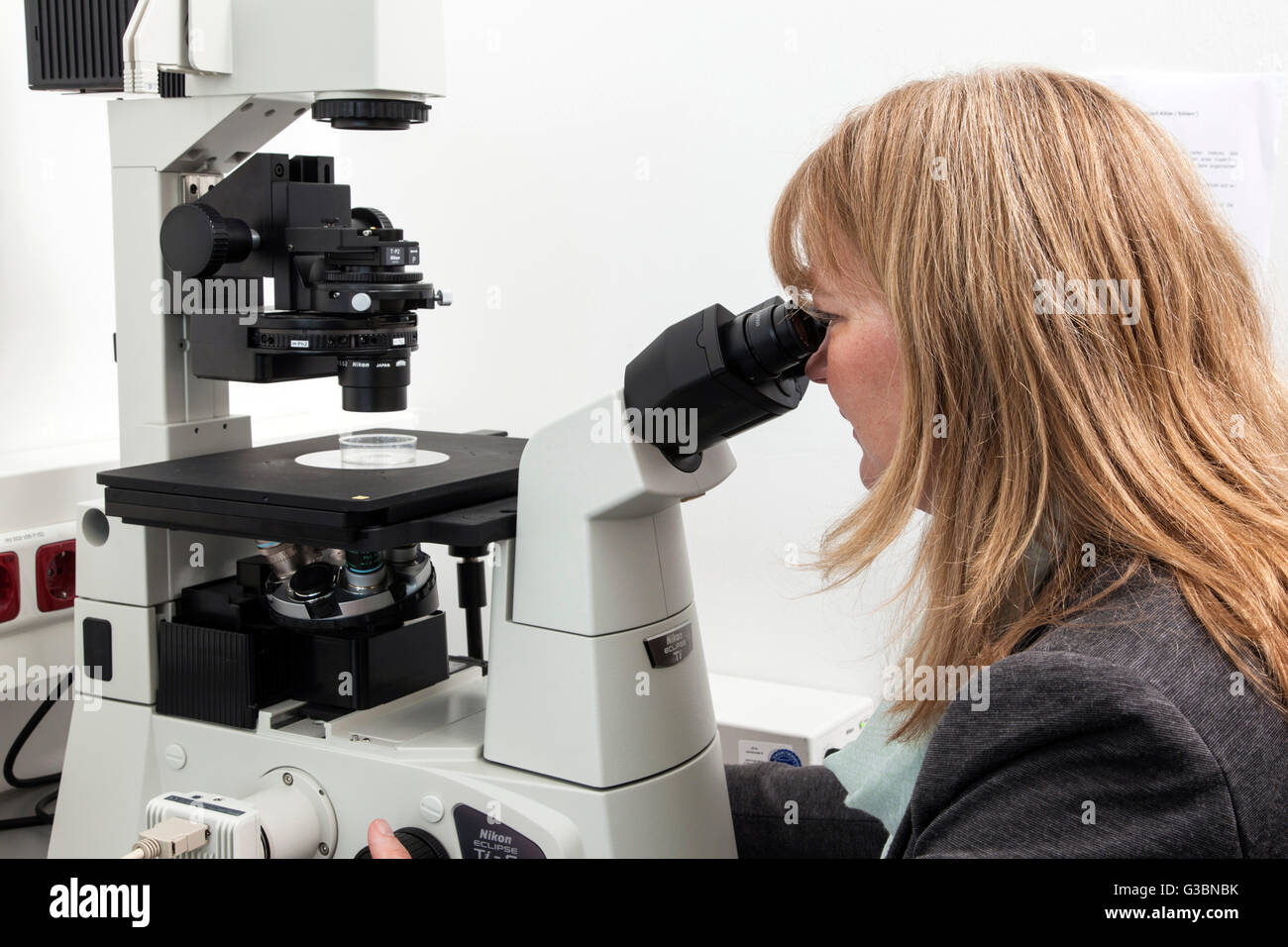 Inverted microscope Banque de photographies et d’images à haute ...