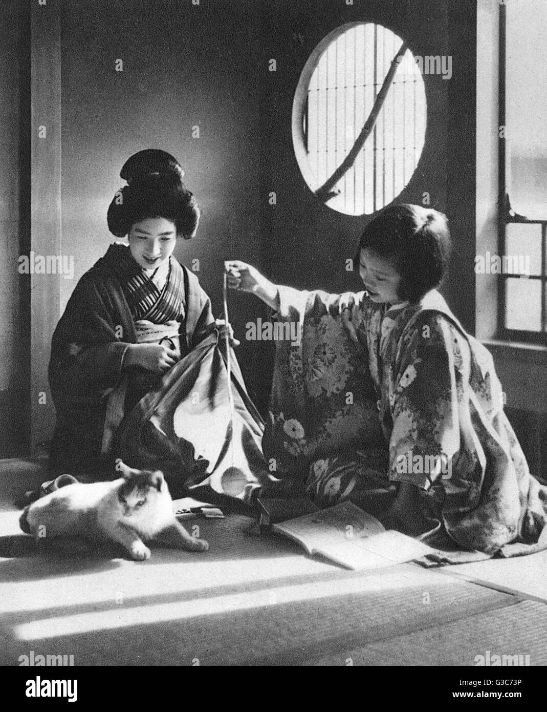 Vieille femme avec un chaton Banque de photographies et d’images à ...