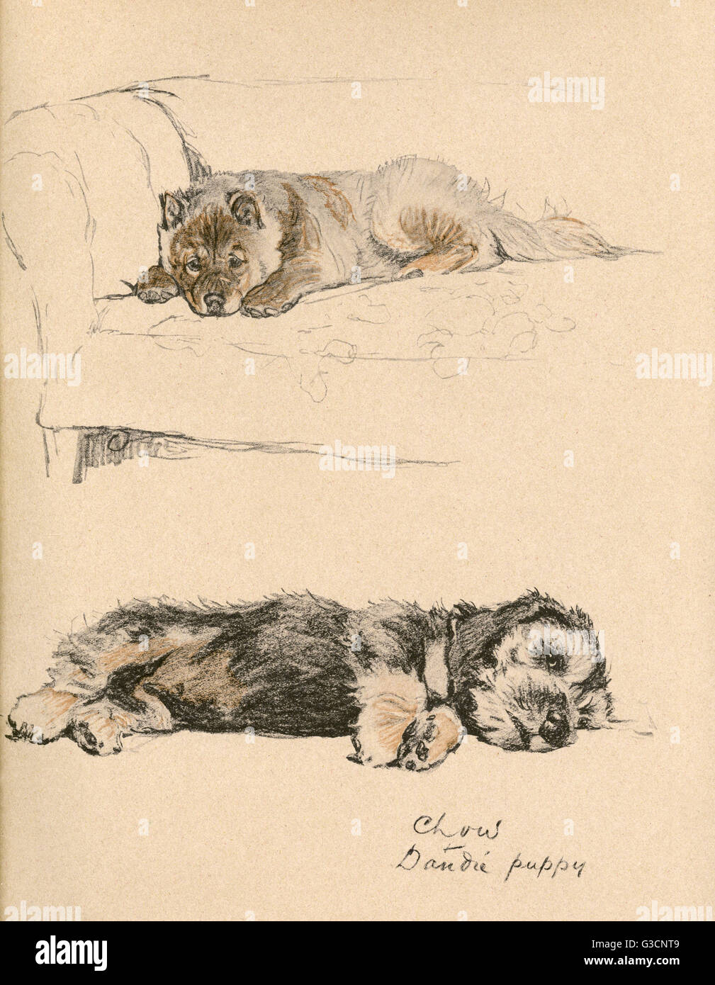 Dibujos historicos Banque de photographies et d’images à haute ...