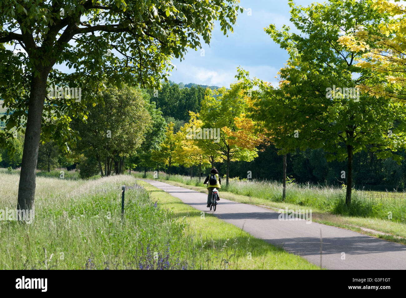 Molsheim france Banque de photographies et d’images à haute résolution ...