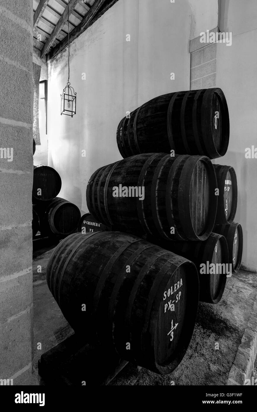 Fûts de vin dans une cave à vin, Bodega Tradicion, entrée privée, foyer ...