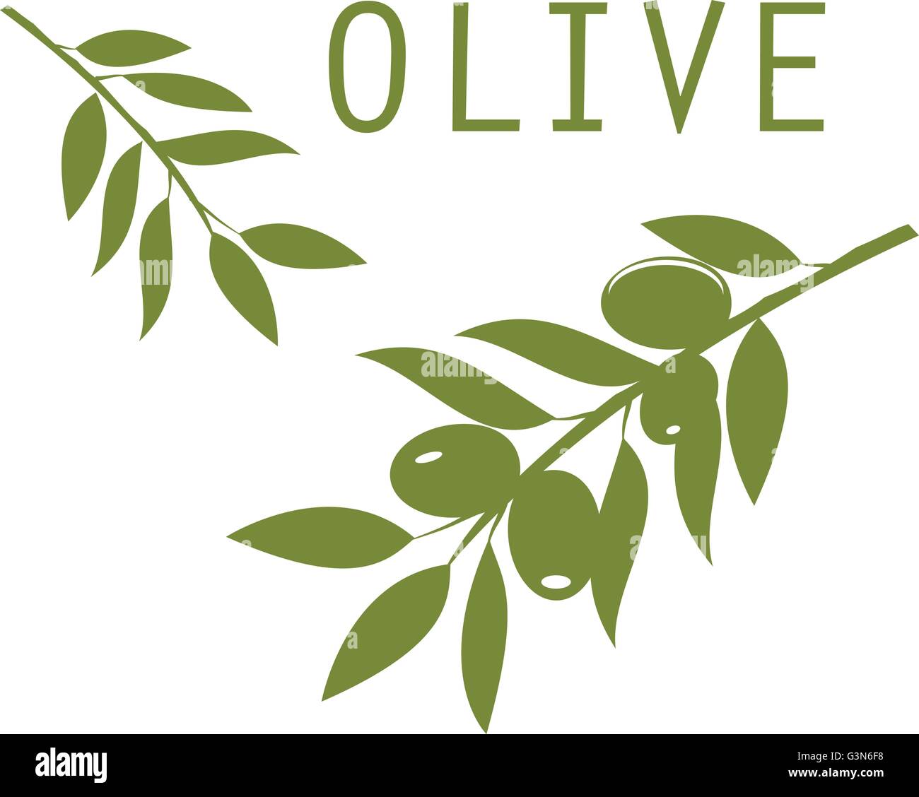 Olive tree vector vectors Banque de photographies et d’images à haute résolution - Alamy