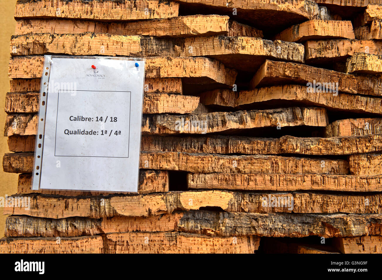 Classés de l'écorce du chêne-liège (Quercus suber), l'usine de Cork ...