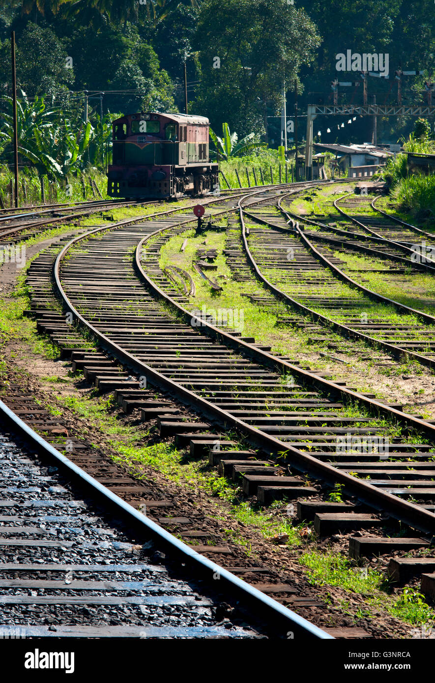 Peradeniya junction station Banque de photographies et d’images à haute ...