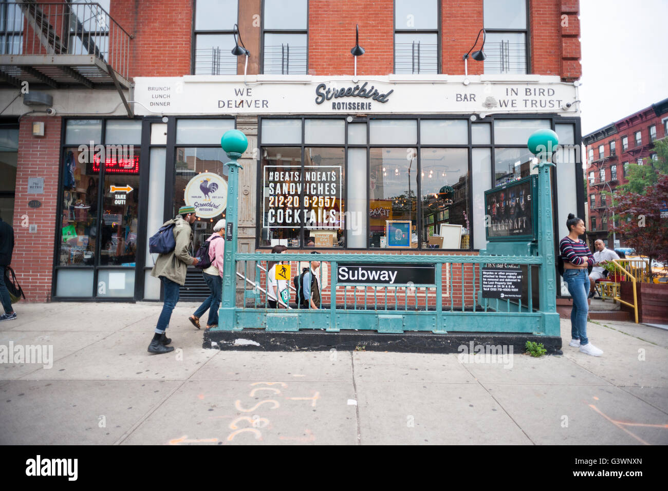 Oiseau de rue Banque de photographies et d’images à haute résolution ...