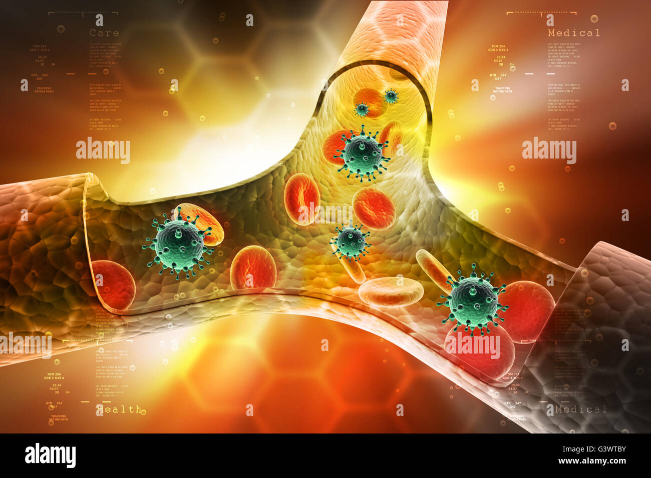 Plaquettes sanguines Banque de photographies et d’images à haute ...