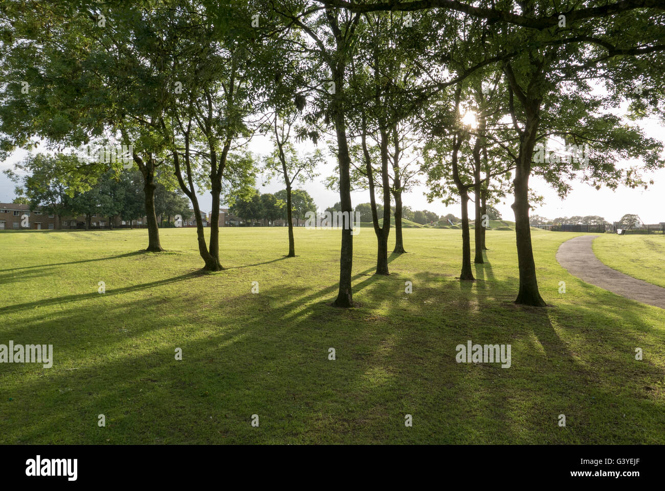 Stevenage area Banque de photographies et d’images à haute résolution ...