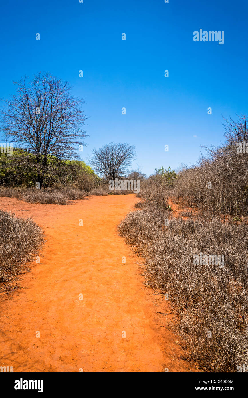 Chemin en terre rouge Banque de photographies et d’images à haute ...