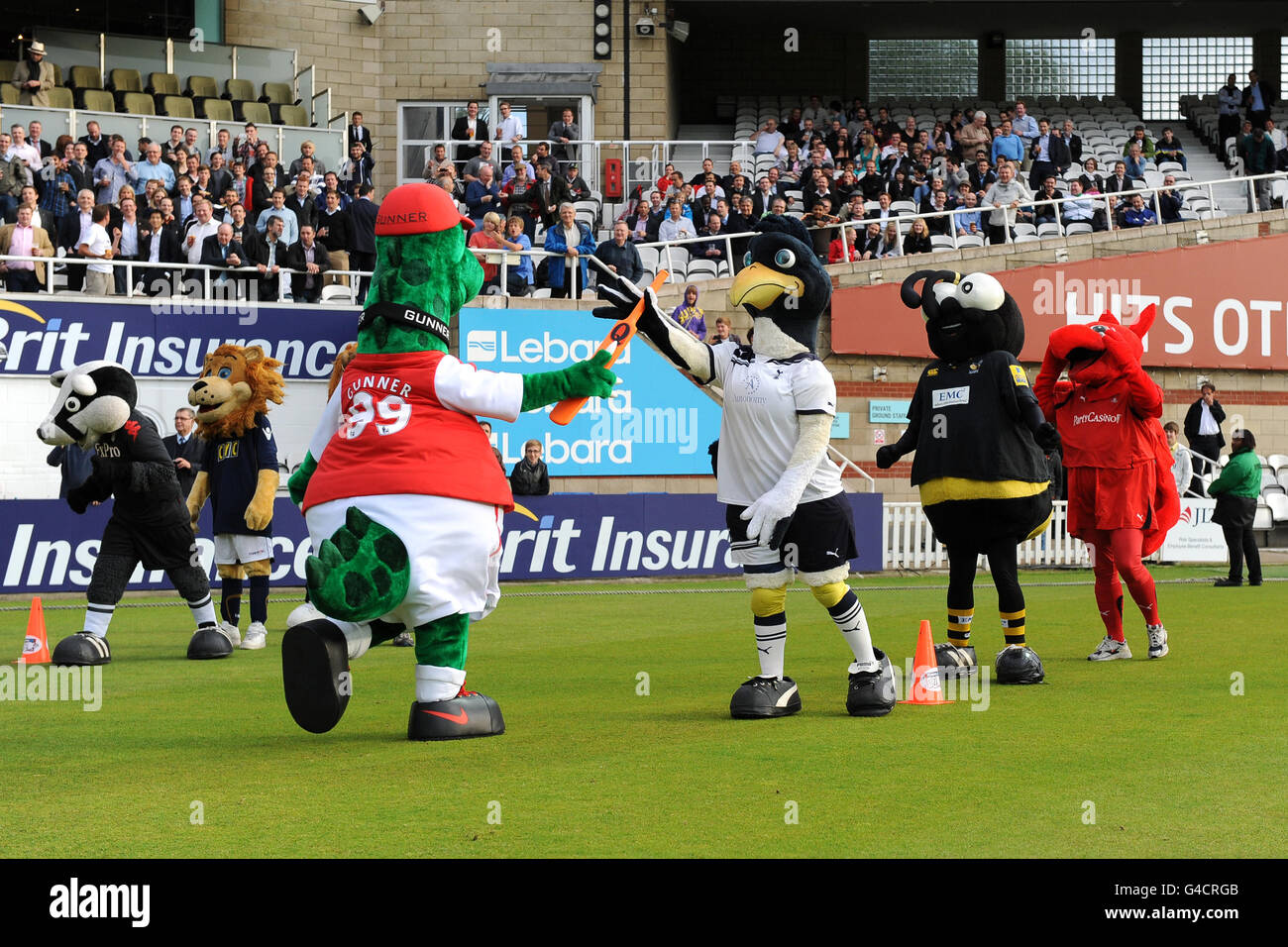 Gunnersaurus rex Banque de photographies et d’images à haute résolution ...