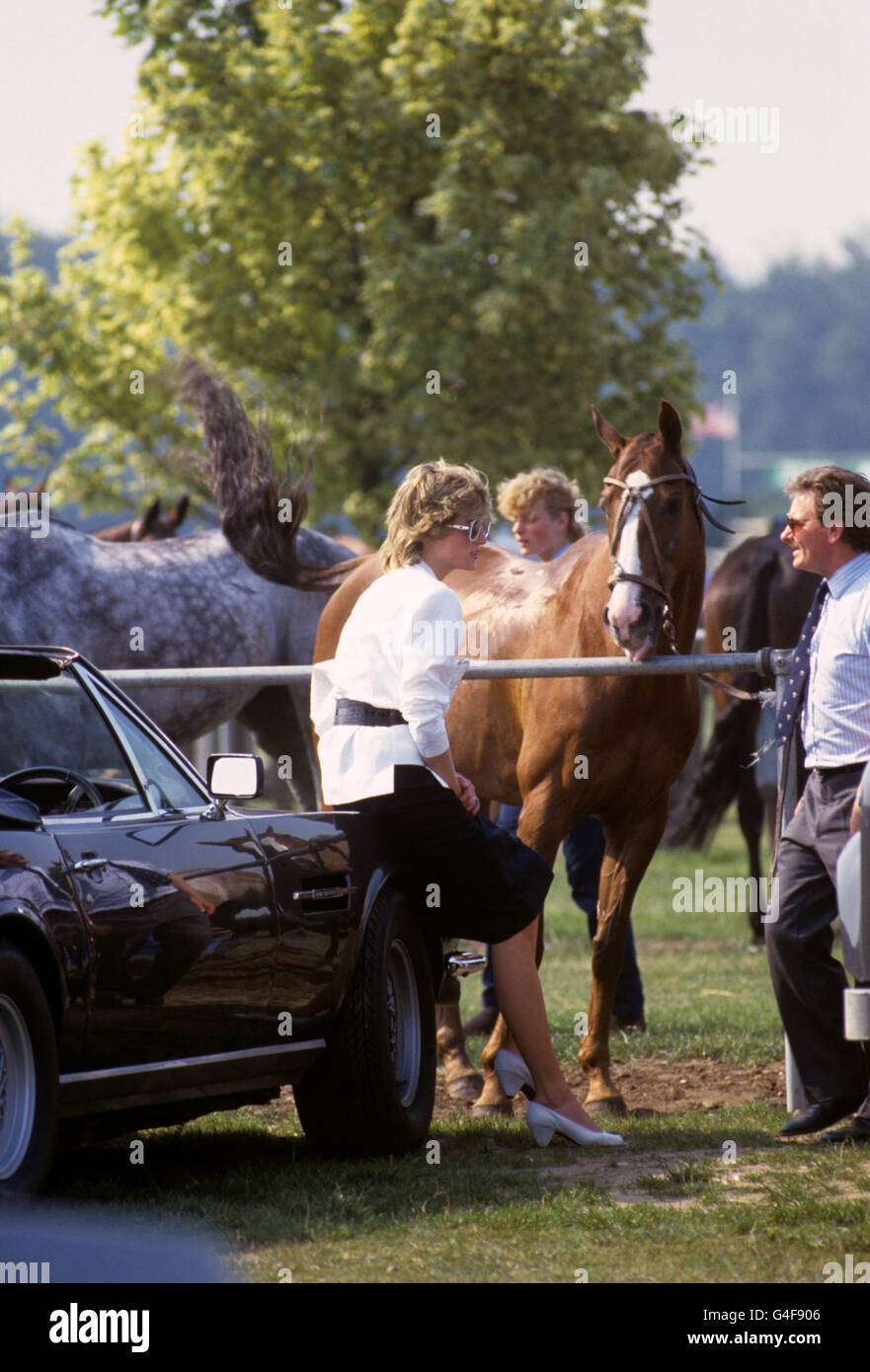 Princess diana polo guards polo Banque de photographies et d’images à ...