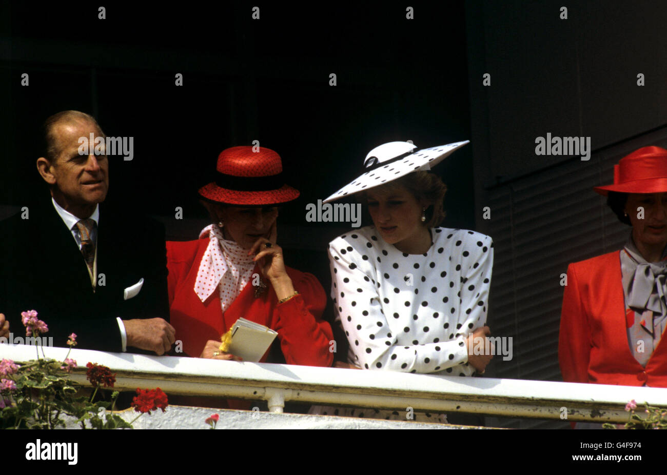 Duc hussey Banque de photographies et d’images à haute résolution - Alamy